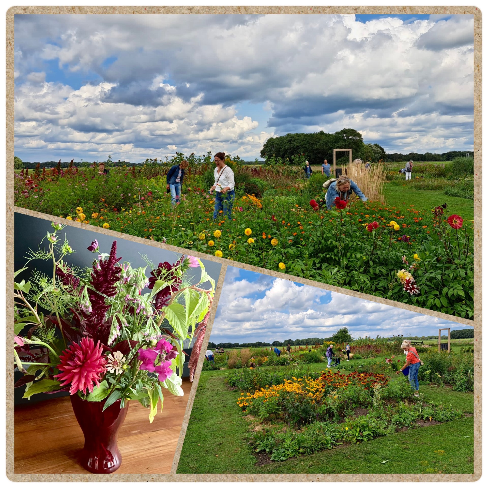 buitendag 26-08-2023 – Emmen