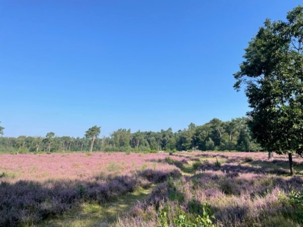 Sponsortocht HPV – Tilburg Schering en Inslag